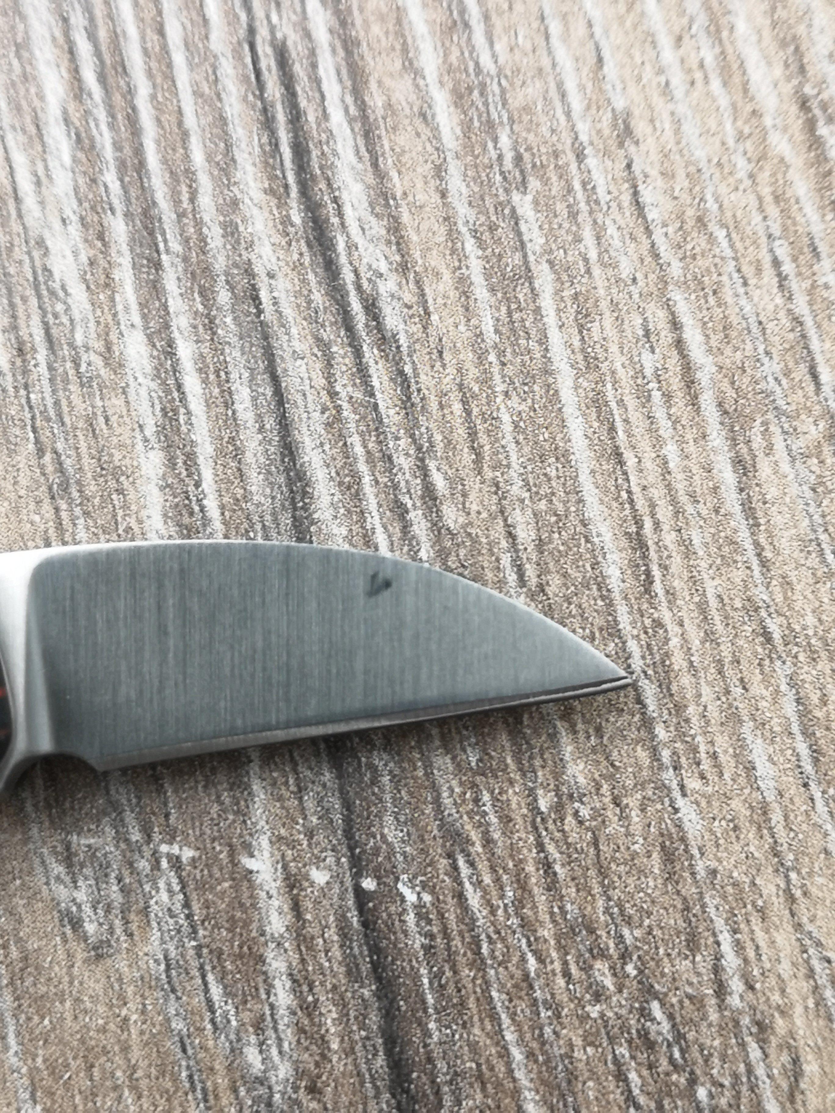 CRKT Forebear 4810 Red Black G10 slipjoint pocket knife, Darriel Caston design | Advantageously ...