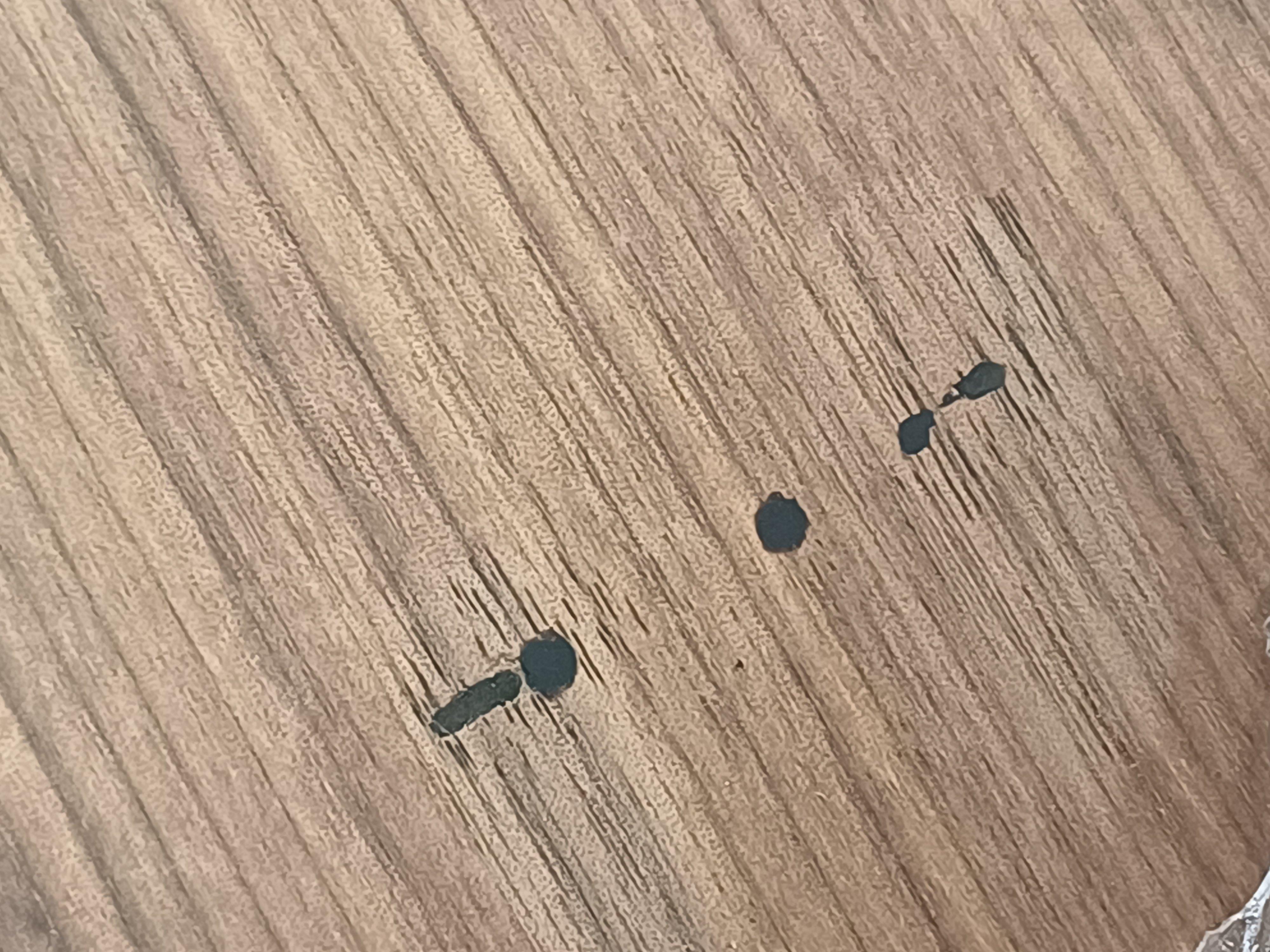 Kai tábua de cortar nogueira, Limited edition 0809 | Compras vantajosas em Knivesandtools.pt