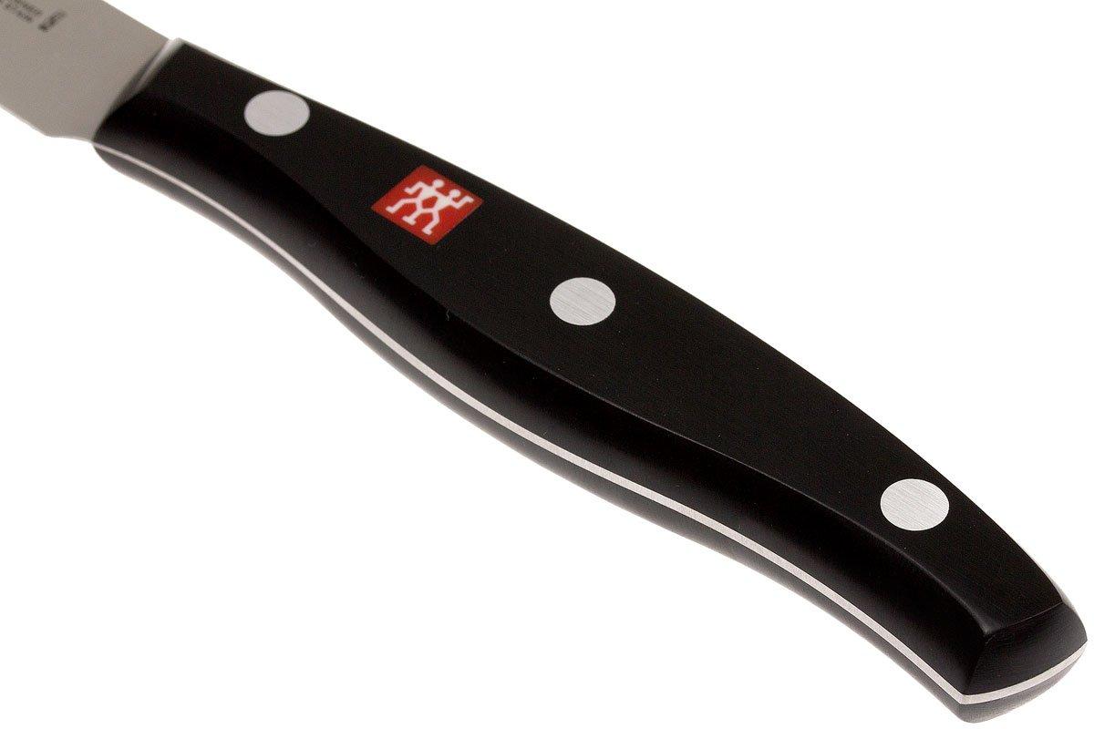 Zwilling Twin Pollux office knife 10 cm, 30720-101 | Advantageously ...