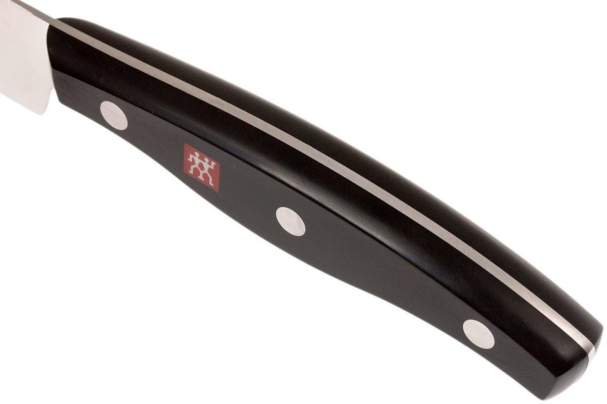 Zwilling Twin Pollux carving knife 16 cm, 30720-161 | Advantageously ...