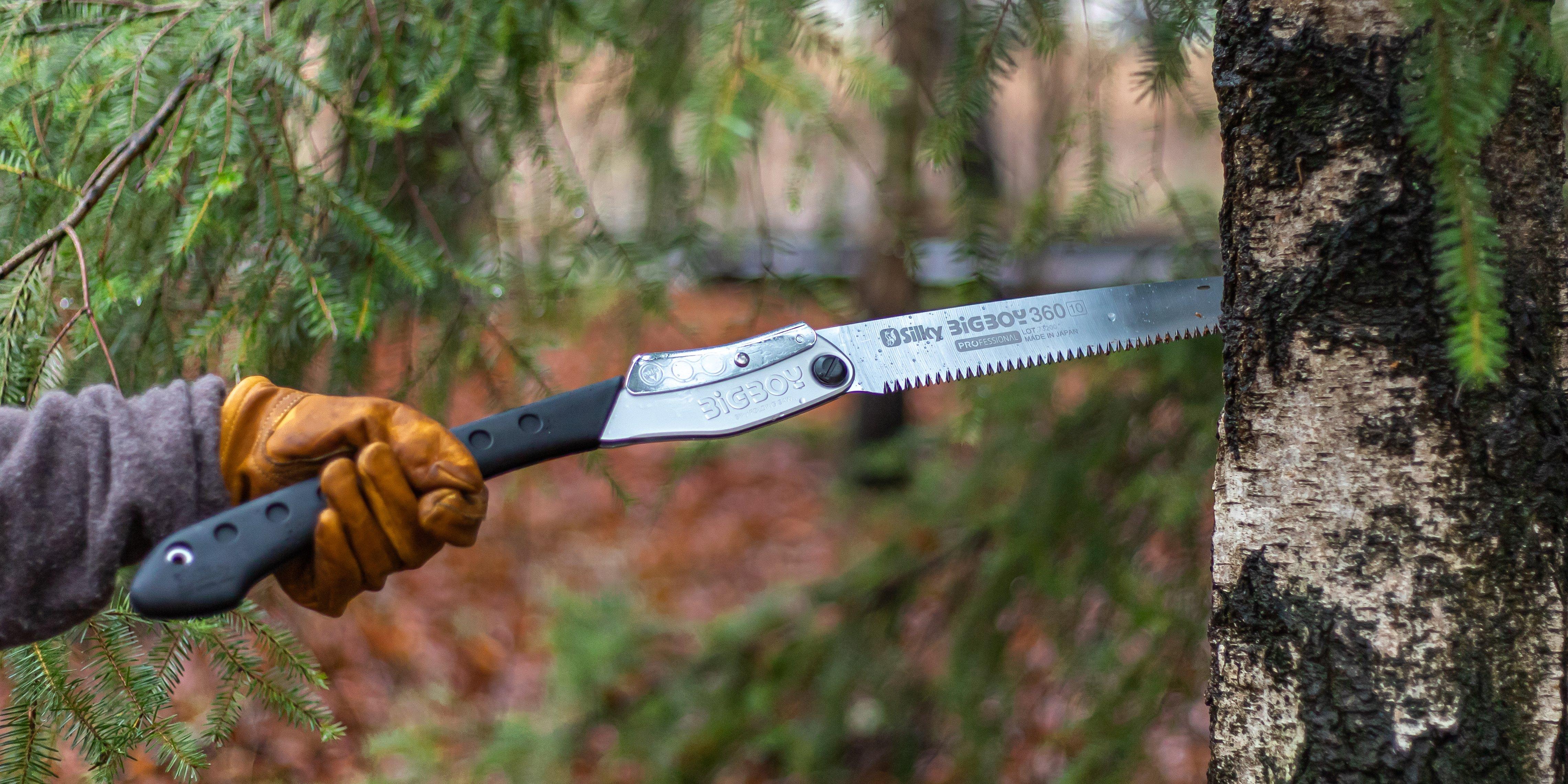 Buying a tree saw? Always tested and in stock!